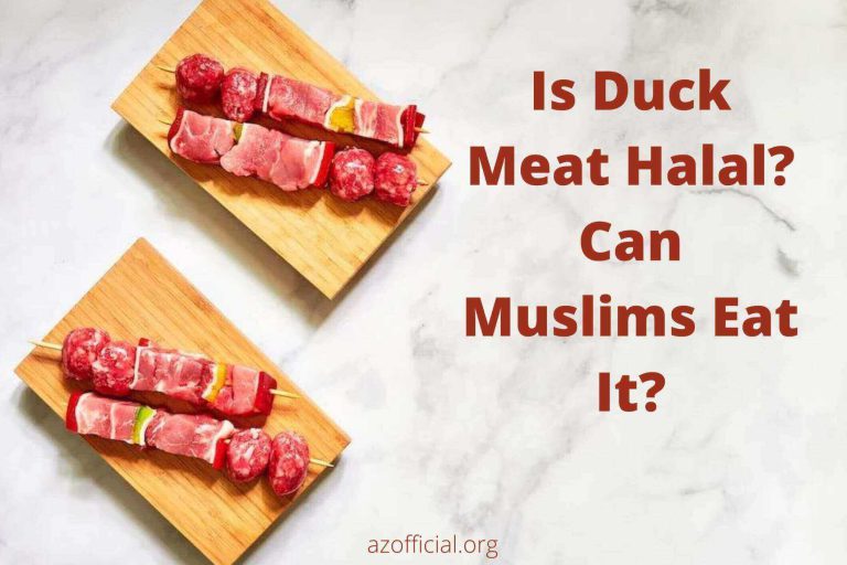 Is Duck Meat Halal Can Muslims Eat It AZ Official Religious Network